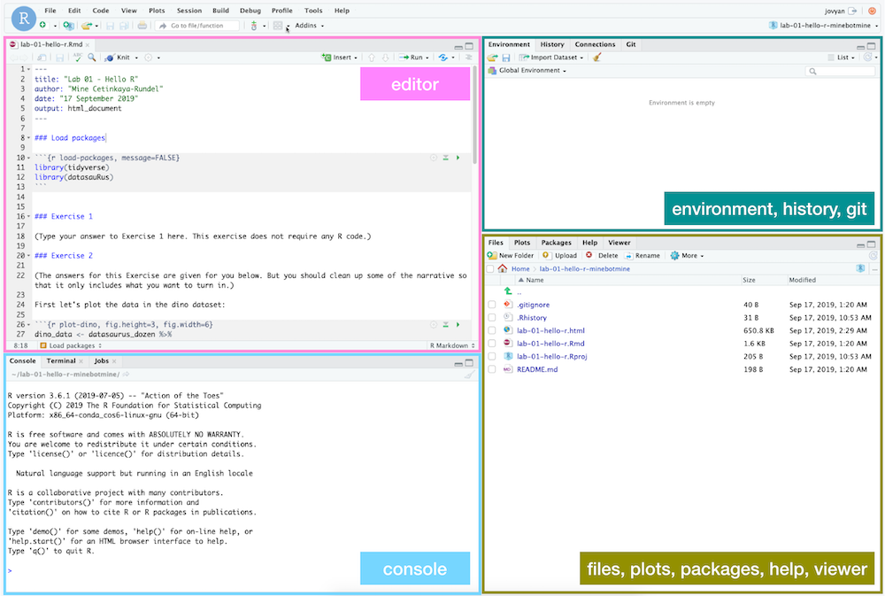 Exercice 01 - Pet names – PRO1036