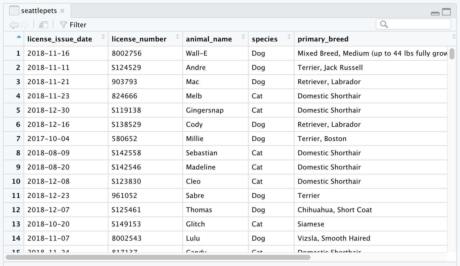 Exercice 01 - Pet names – PRO1036