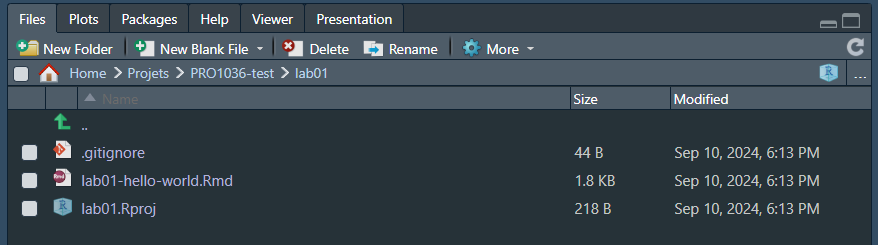 Lab 01 - Hello World – PRO1036